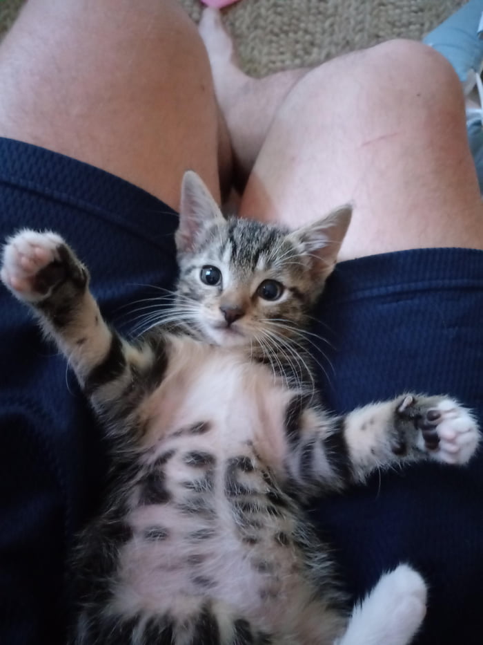 Love this little guy - 9GAG