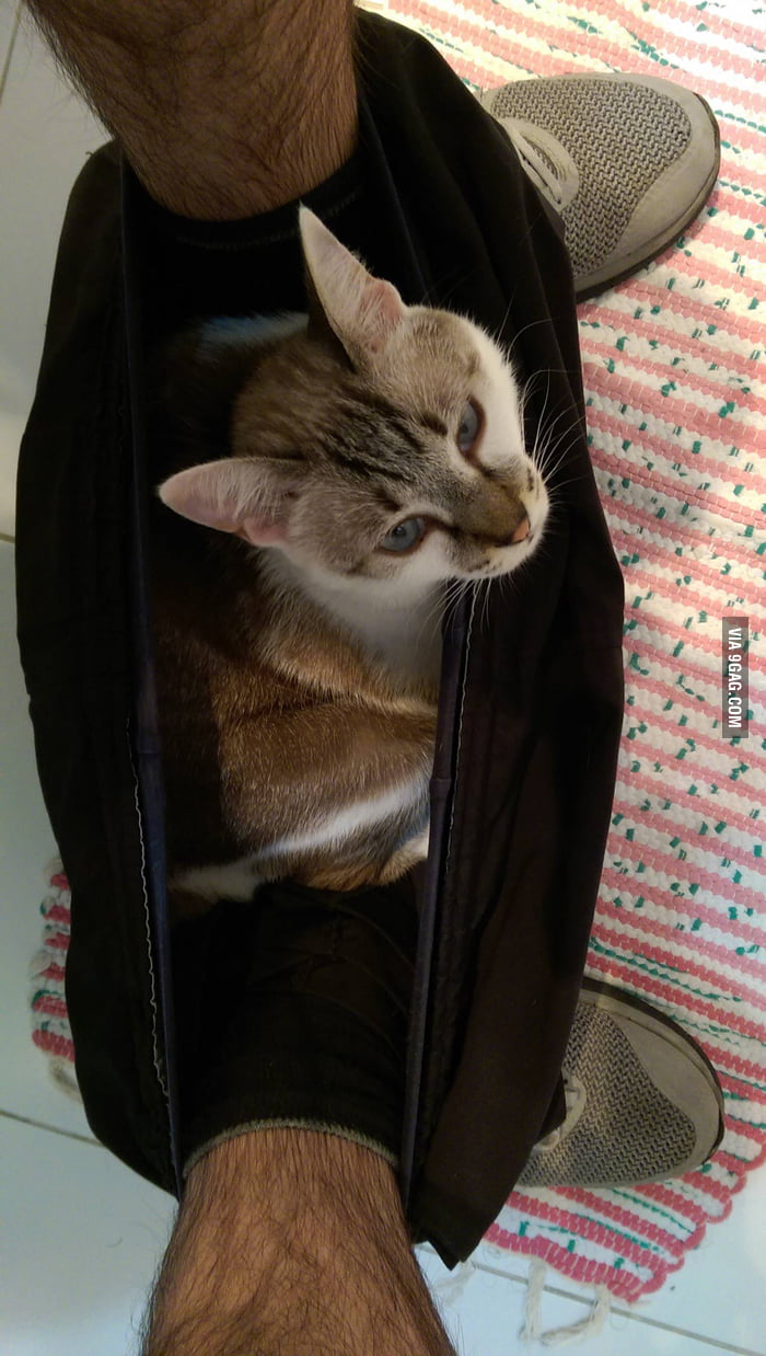 No regard for boundaries. - 9GAG