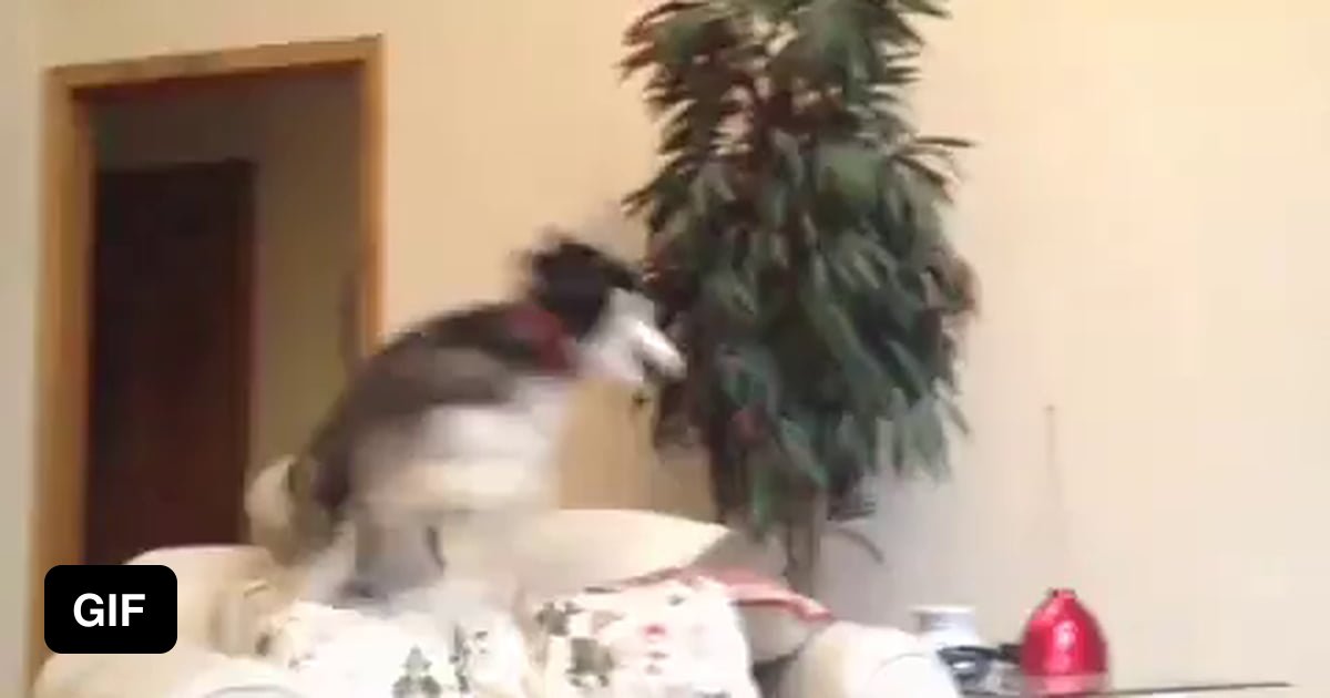 Getting comfy - 9GAG