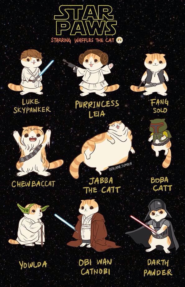 Star Paws - 9GAG