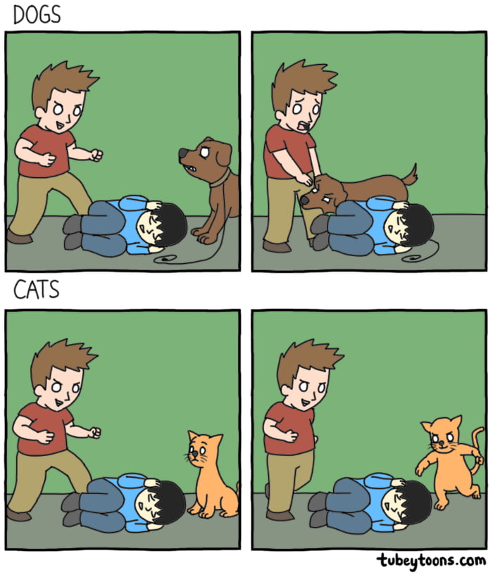 Backstabbing kitty. - 9GAG