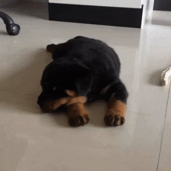 If you smile you lose - 9GAG