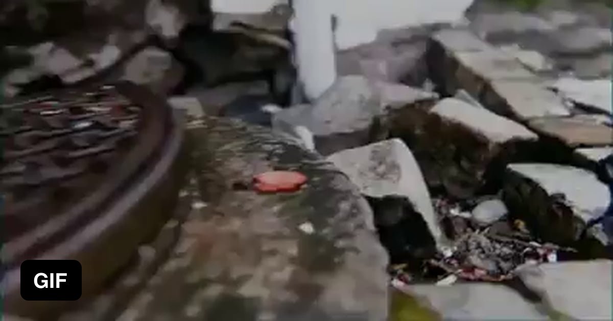 An ant's POV on loop. - 9GAG