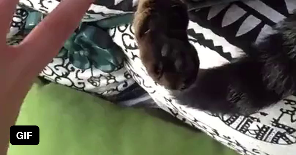 Push button to receive wiggle - 9GAG