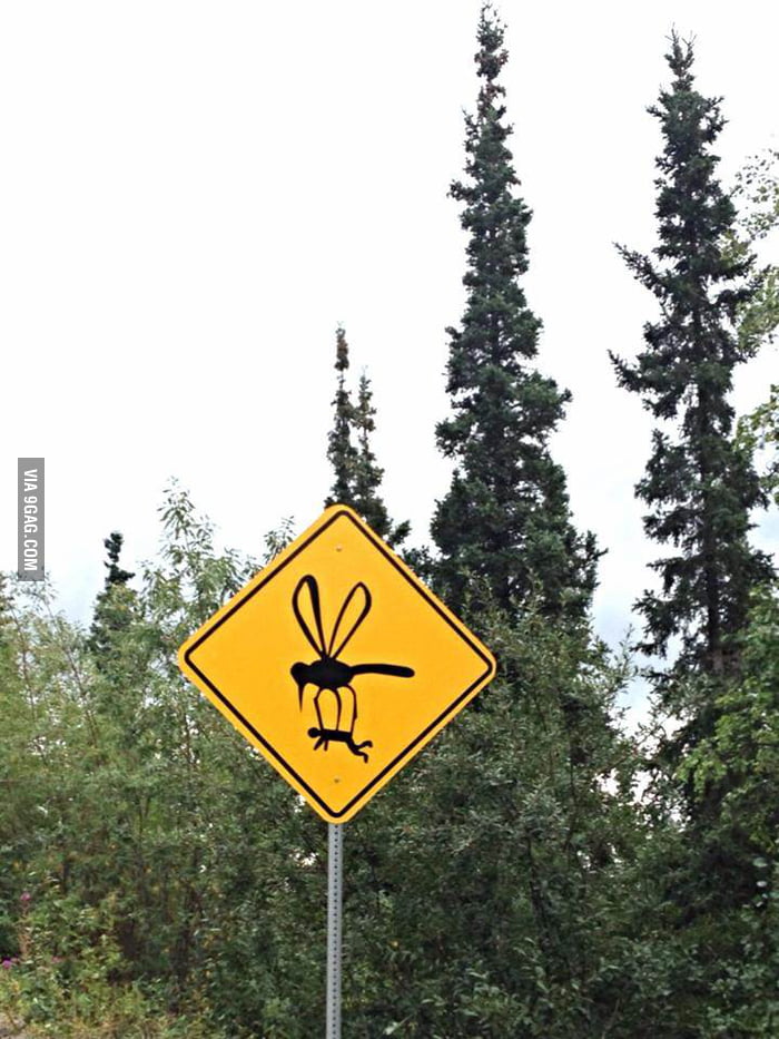Mosquito Crossing - 9GAG
