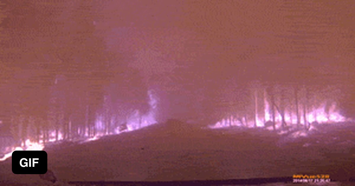 Driving through a forest fire - 9GAG