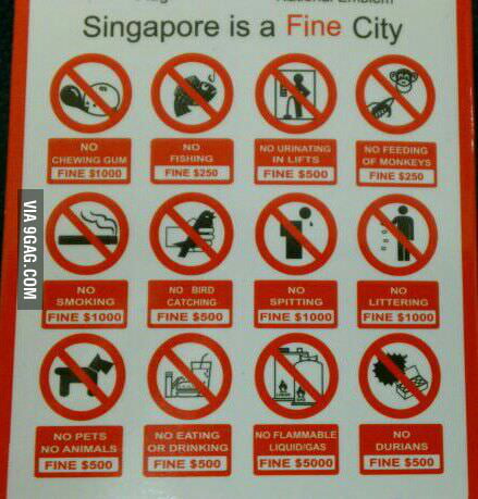 Singapore is a fine city - 9GAG