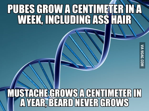 Scumbag Genetics on body hair - 9GAG