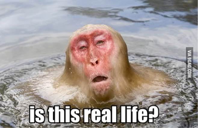 Blahhh Memes Mortal Kombat 11 Fatalities #6 | PREORDER FOR SHAO KAHN