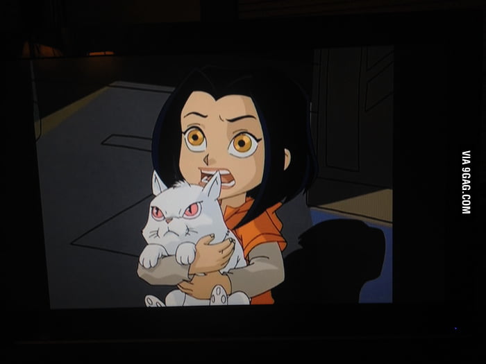 Grumpy Cat in Jackie Chan Adventures! - 9GAG