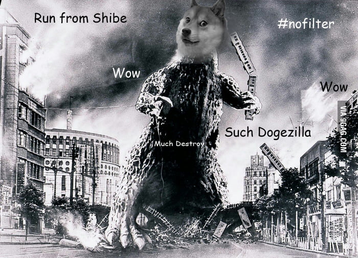 Dogezilla - 9GAG