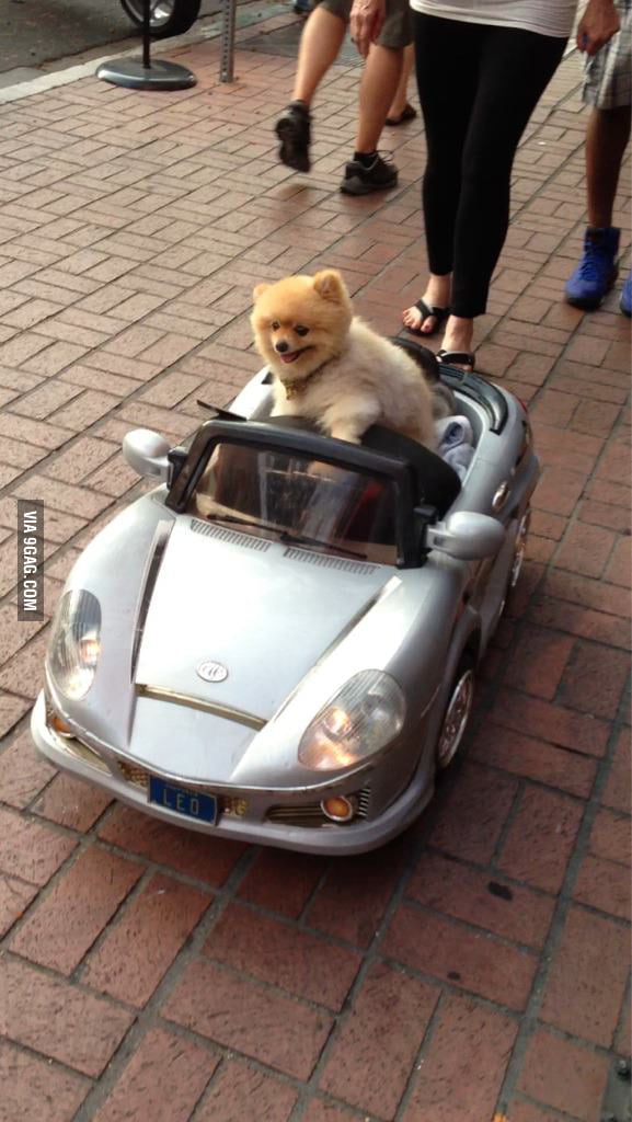 This b*tch almost hit me with her car. - 9GAG