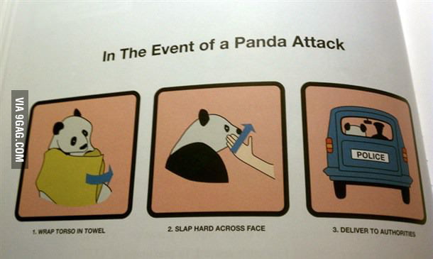When Pandas attack - 9GAG