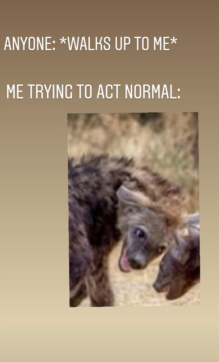 Anyone: Walks up to me | Me trying to act normal: - 9GAG
