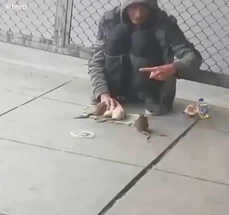 Cool guy with rats - 9GAG