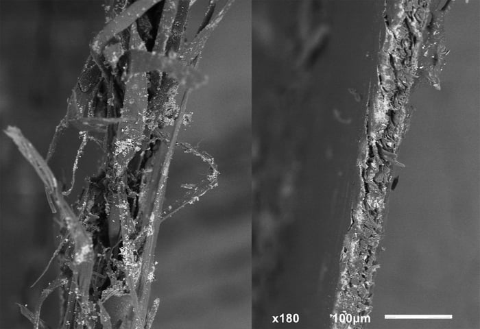 Ripped and scissor-cut paper under the Scanning electron microscope - 9GAG