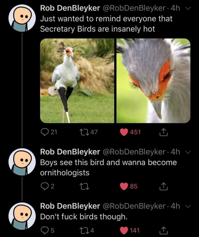 Bird looks like it’s twice divorced. - 9GAG