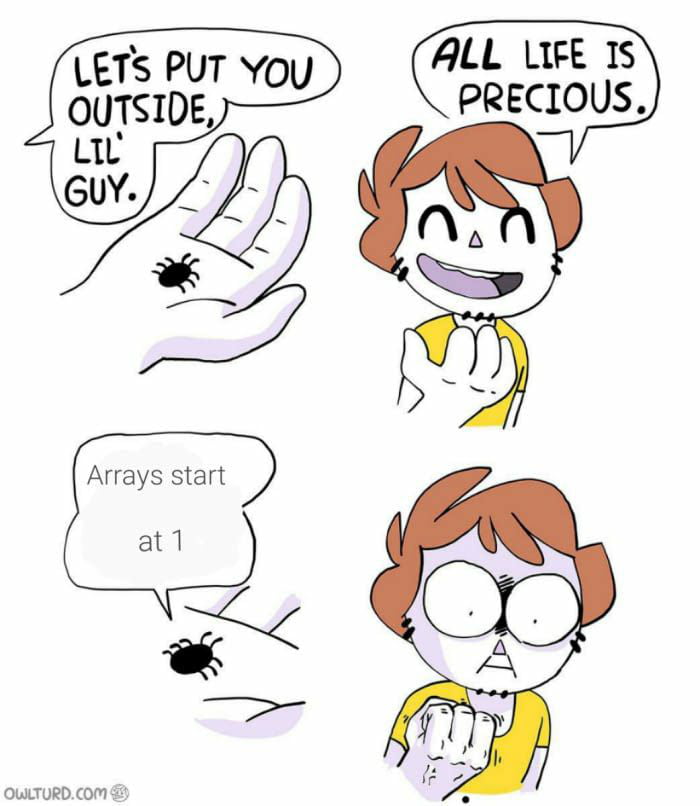 Arrays start to 0, right ? - 9GAG