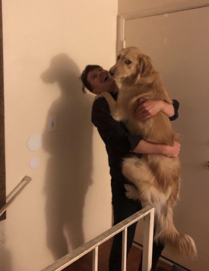 Terrifying dog man shadow - 9GAG