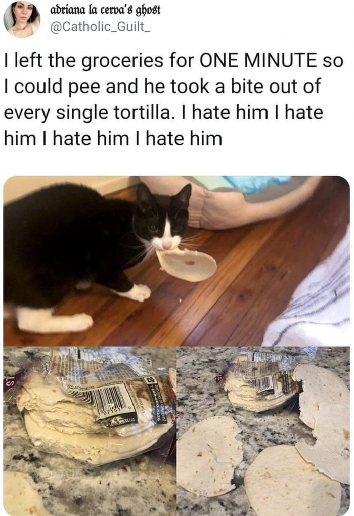 He jus want a bite. - 9GAG