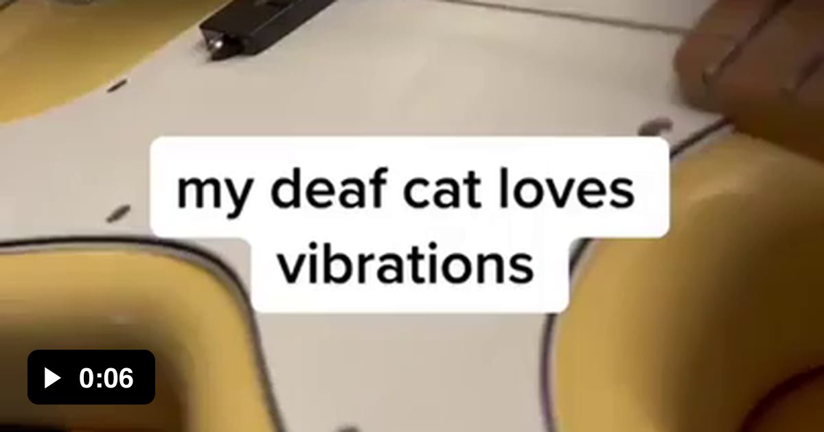 Good Vibrations - 9GAG