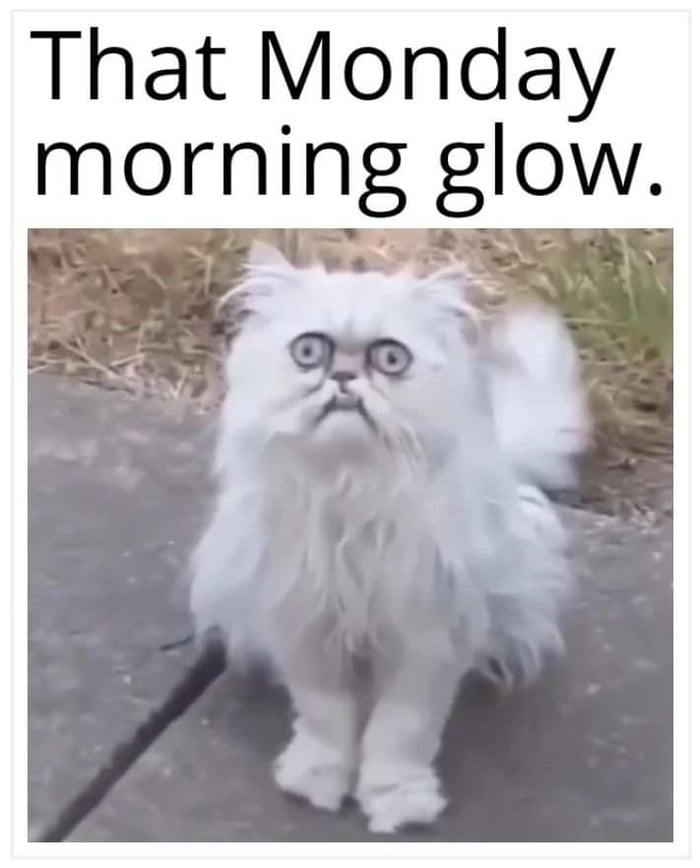 Monday humor - 9GAG