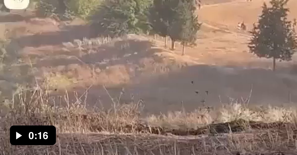 Hamas soldiers infiltrating inside Israel at Kibbutz Be'eri - 9GAG