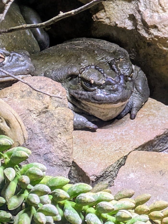 Gus and Fred Chilling on a Wednesday Afternoon - 9GAG