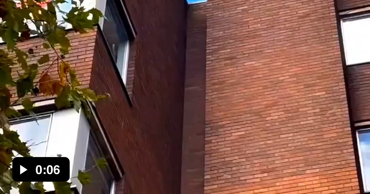 Brick wall slide - 9GAG