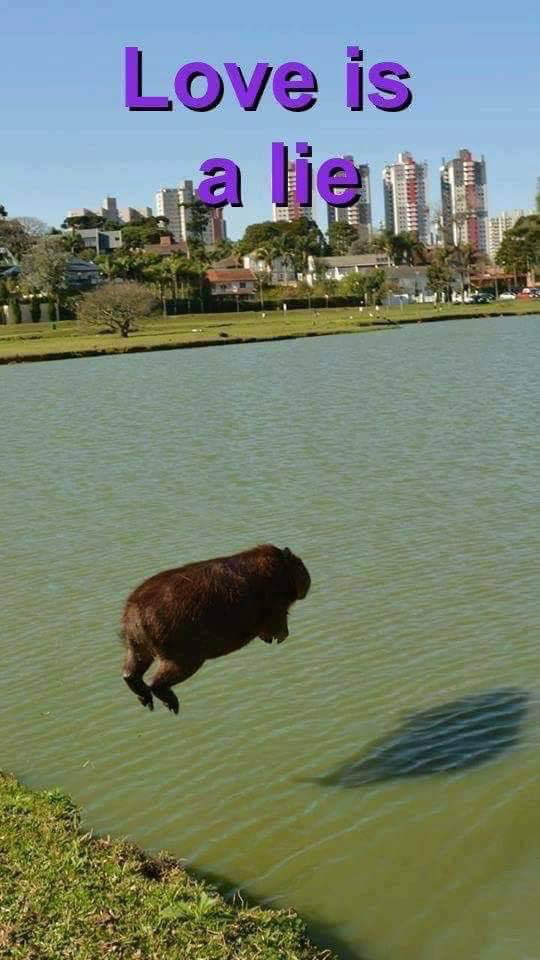 Be Aware....Hhhh - 9GAG