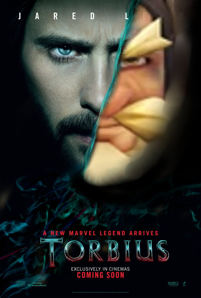 It's Torbin' time.. - 9GAG