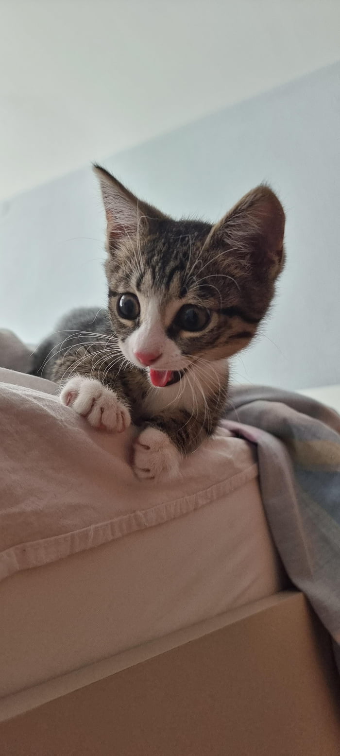 The face of a speed demon - 9GAG