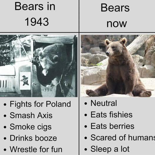 Different times, different bears. - 9GAG