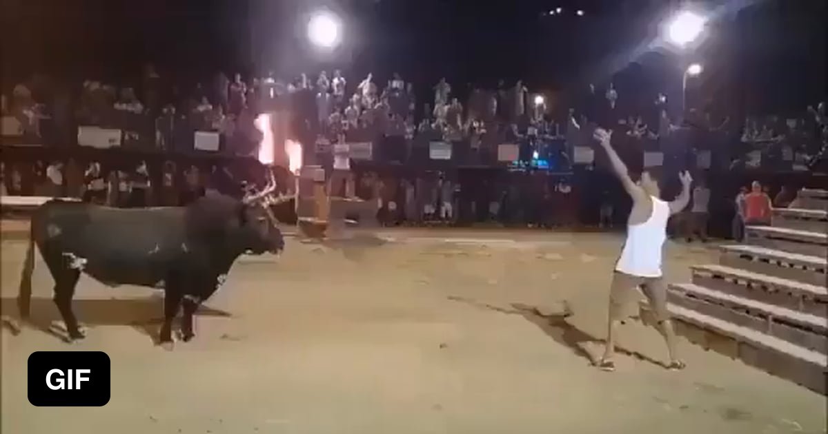 The bull wins - 9GAG
