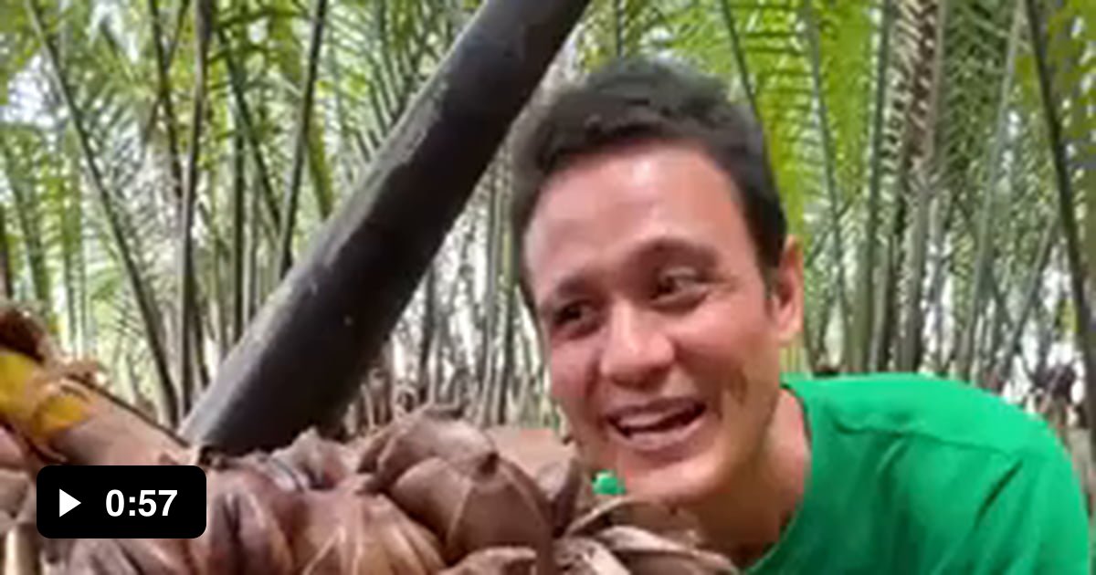 The Nipa Palm Fruit. - 9GAG