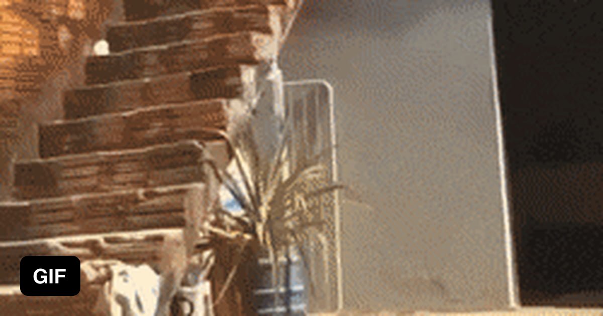 Walking down stairs with extra steps ... - 9GAG