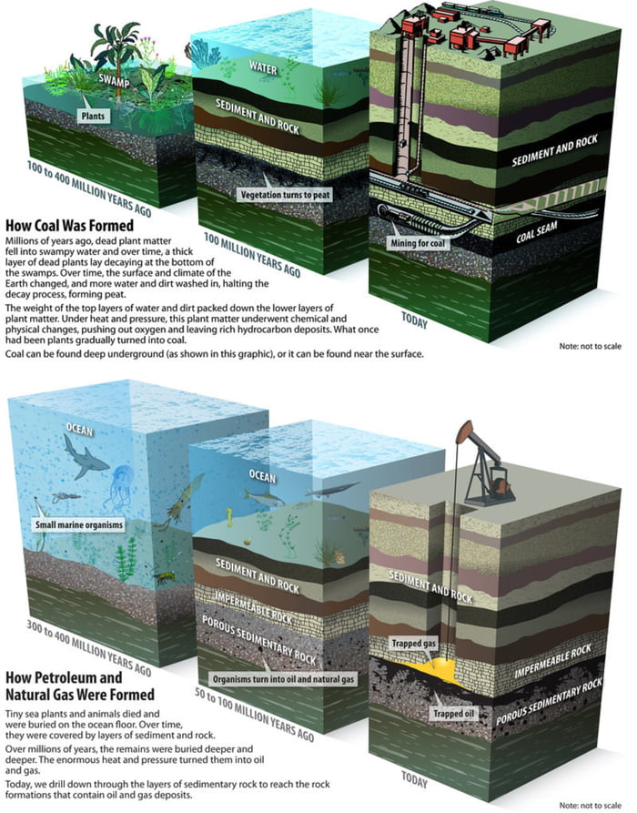 A cool guide to the difference between how coal is formed vs how oil is ...