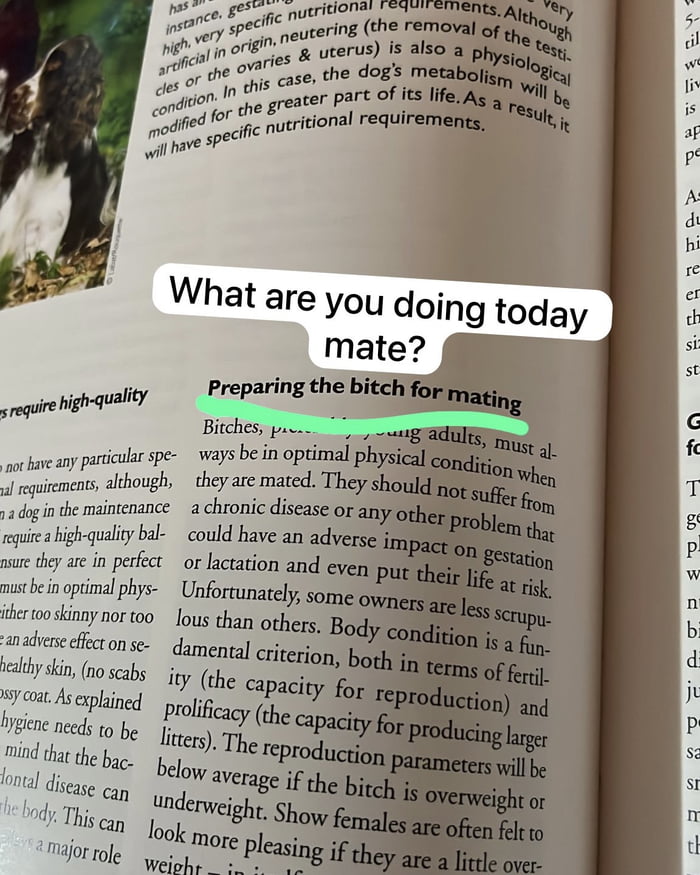 Hidden ability - 9GAG