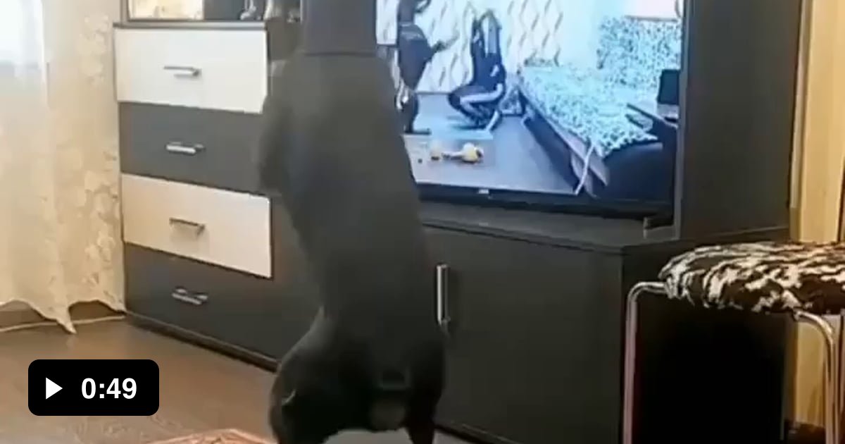 Training session. - 9GAG