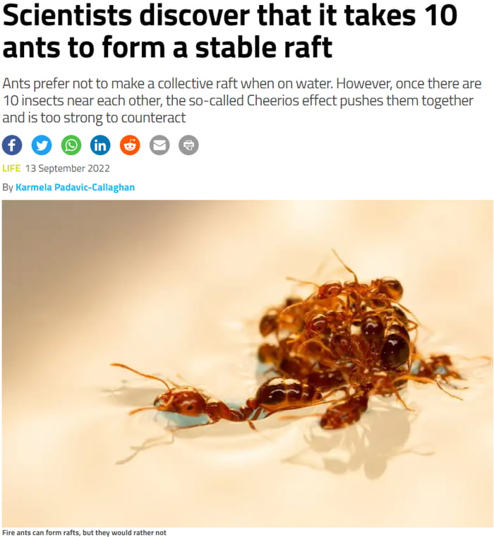 Finally, the answer to the question we have all been waiting for. - 9GAG