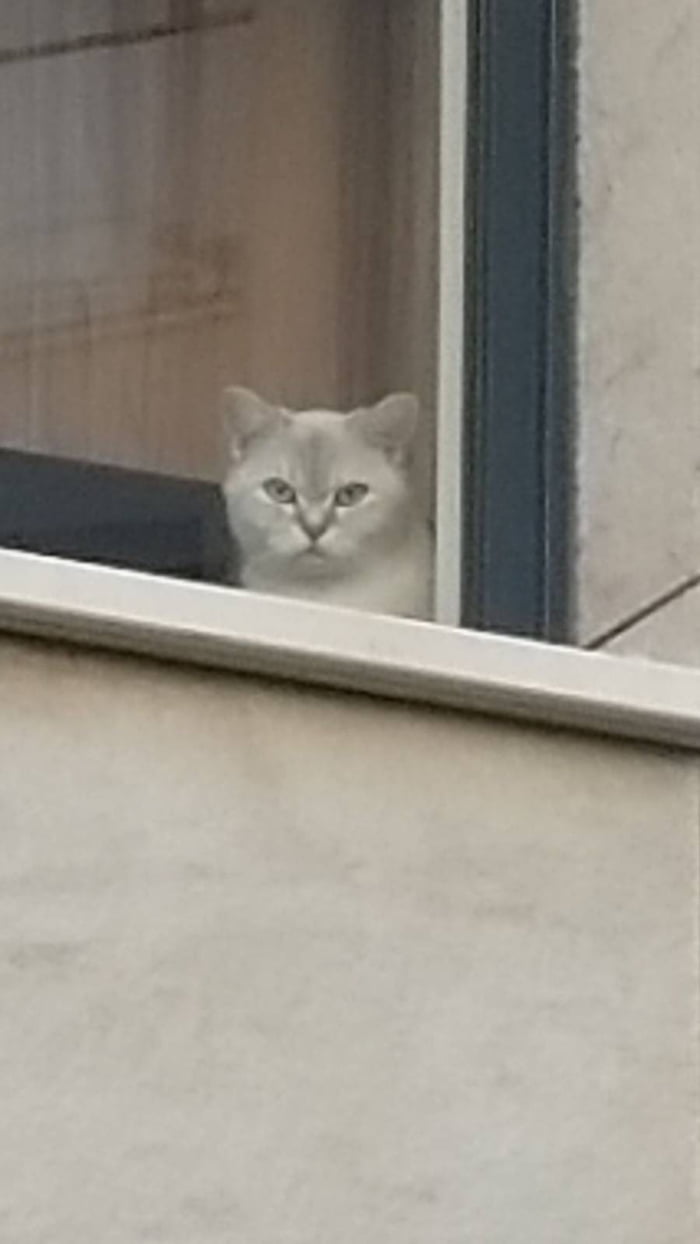 Sneaking home at 6am after spending the whole night out with the boys ...