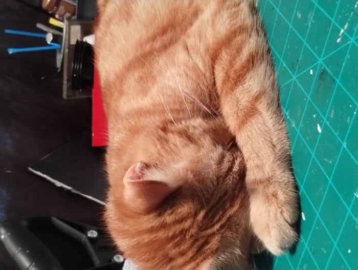 Turn off the light...so sleepy - 9GAG