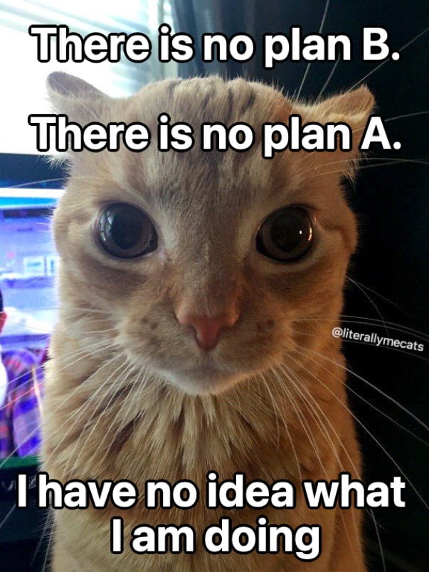 My spirit animal - 9GAG