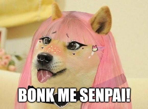 Bonk bonk bonk - 9GAG