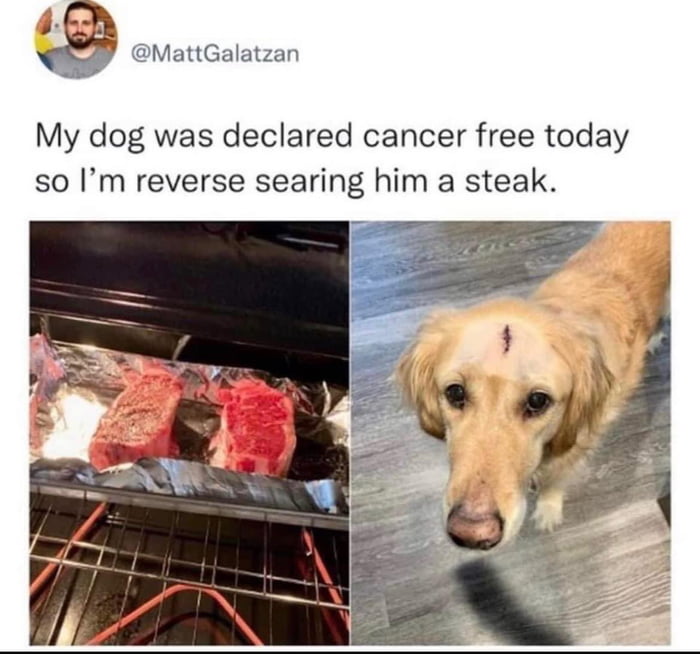 Sweet, brave boy. - 9GAG