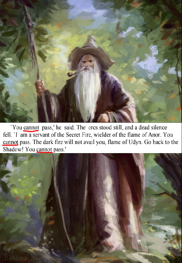 "You CANNOT pass" says the book - 9GAG