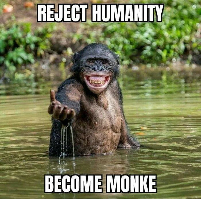 Return to Monke - 9GAG