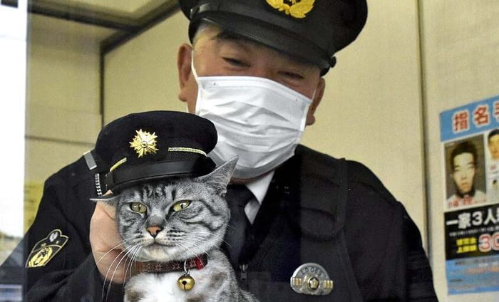 Japanese police cat - 9GAG