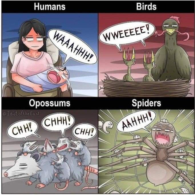 Final sacrifice - 9GAG