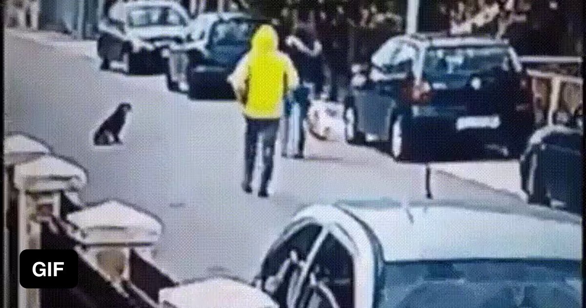 Woman being robbed in broad daylight - 9GAG